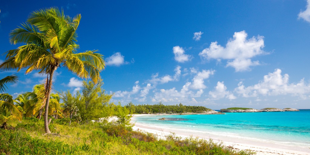 Voli Miami - North Eleuthera | cerca e prenota i voli